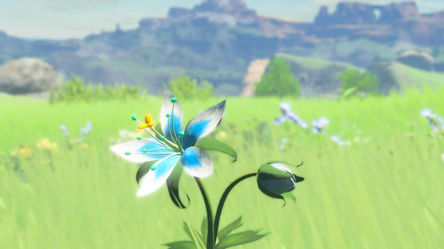 The Flowers of Hyrule